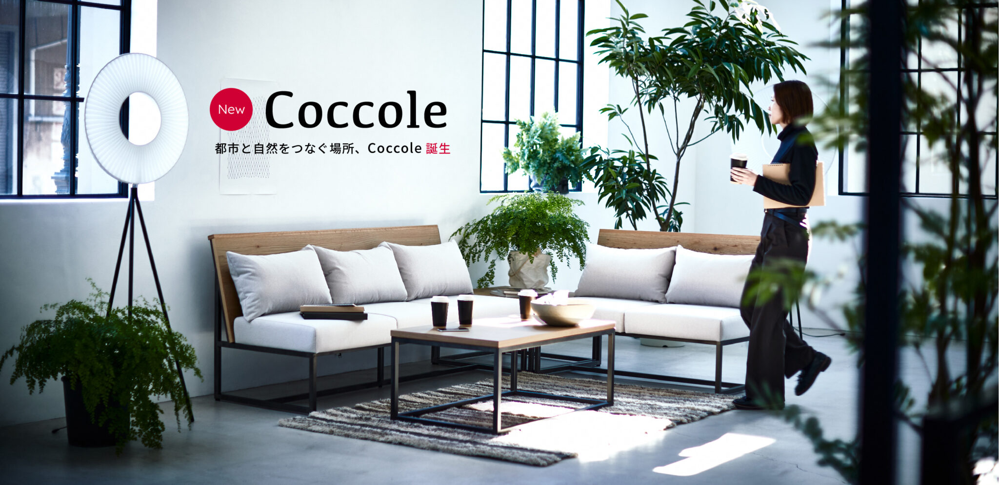 新ブランド「Coccole」誕生 | 業務用家具の 株式会社キノシタ